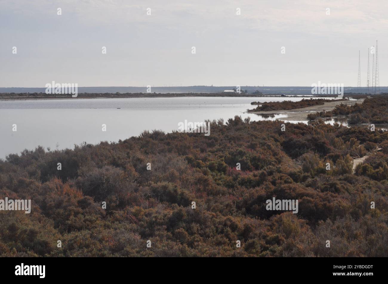 Beautiful natural wetland limassol hi-res stock photography and images ...