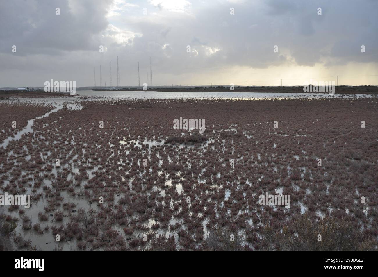 Beautiful natural wetland limassol hi-res stock photography and images ...