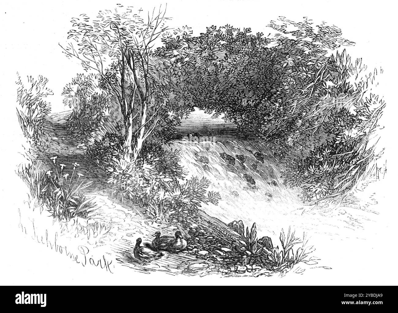 Waterfall in Tichborne Park, Alresford, Hants., 1871. The case of the ...