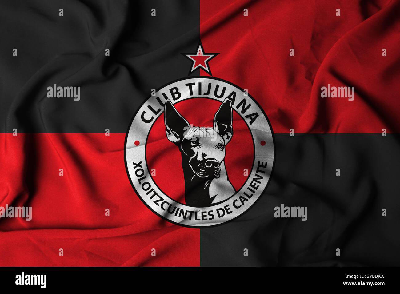 pringsewu, Lampung 21 October 2024 Selective focus flag logo texture ...