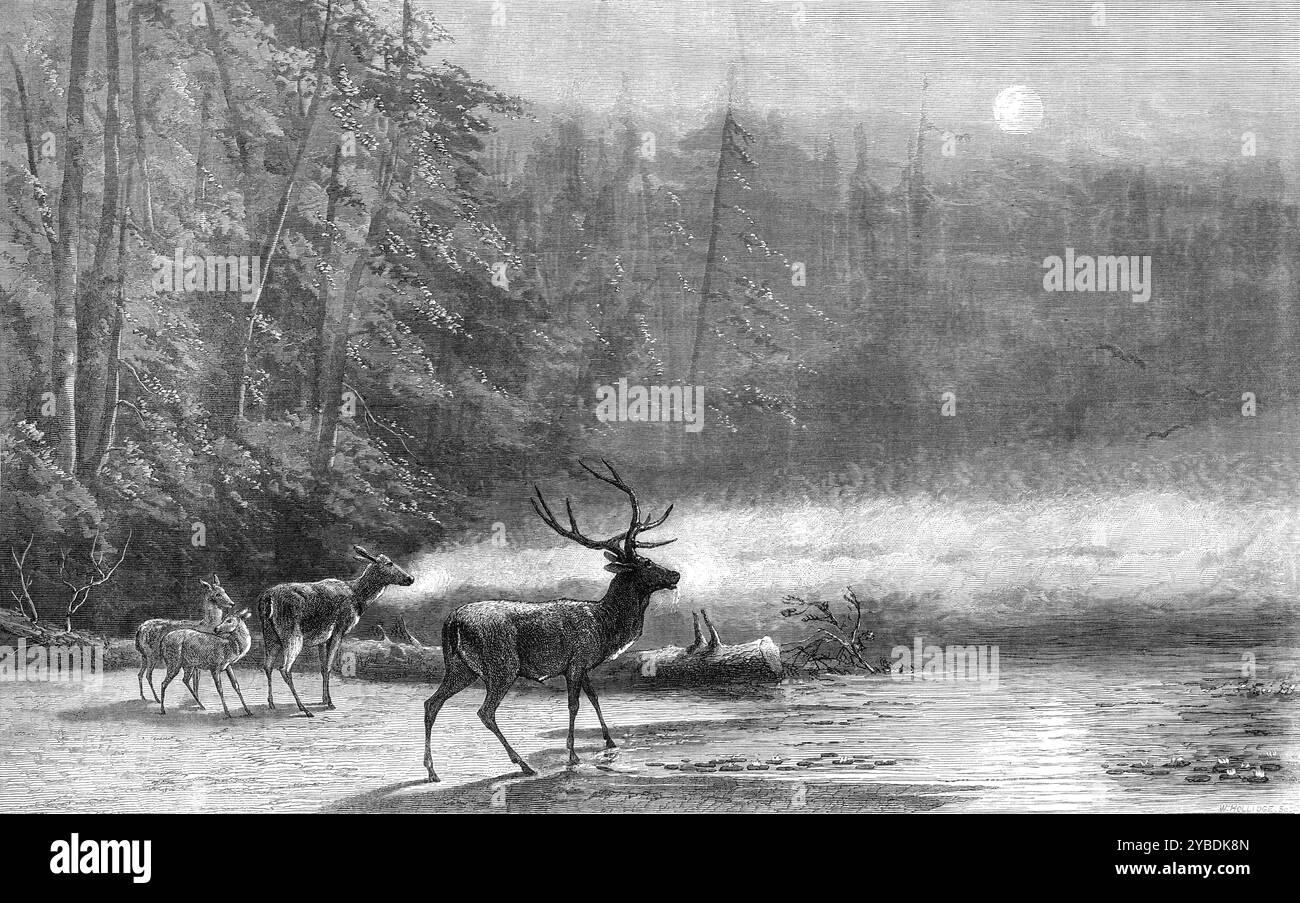 "Lake Scene - Early Morning," by Mr. Wüst, 1871. Engraving of a ...