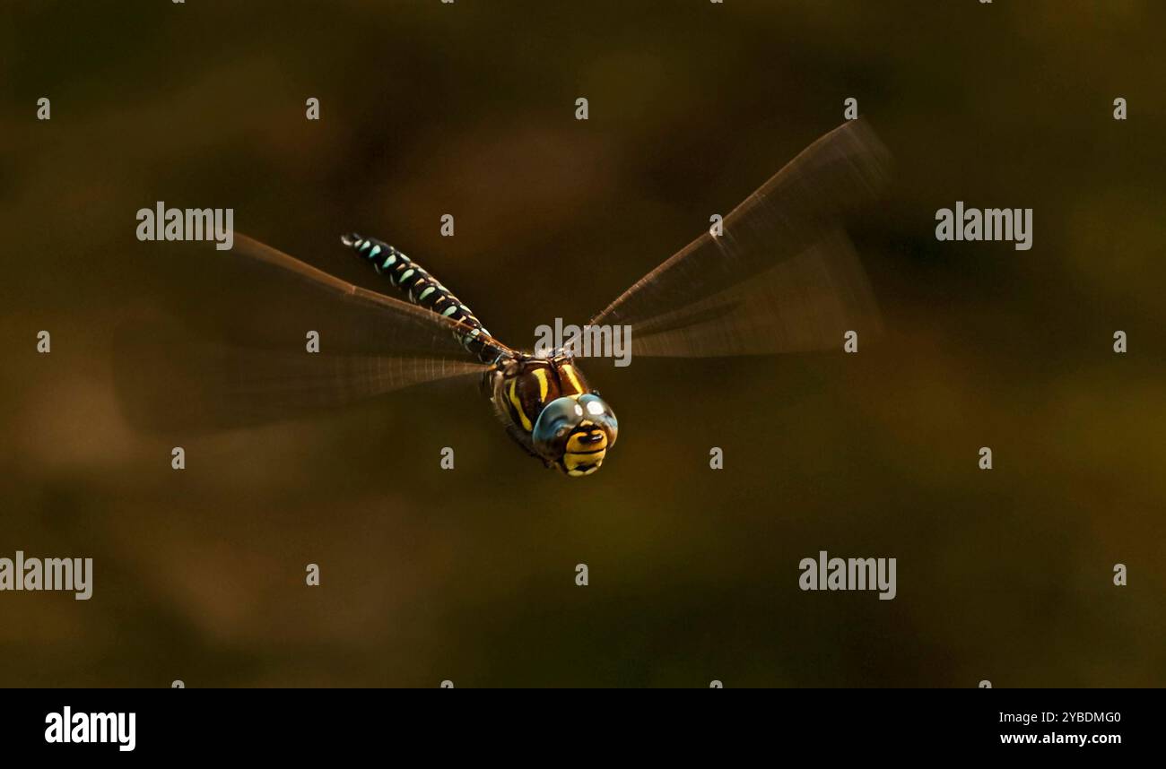 Aerial view flying backwards in hi-res stock photography and images - Alamy