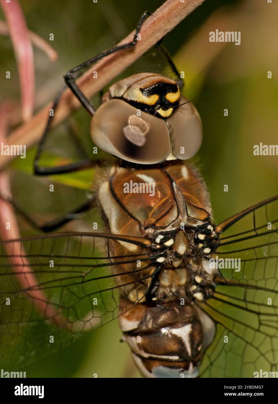 Aerial fly backwards shot long hi-res stock photography and images - Alamy