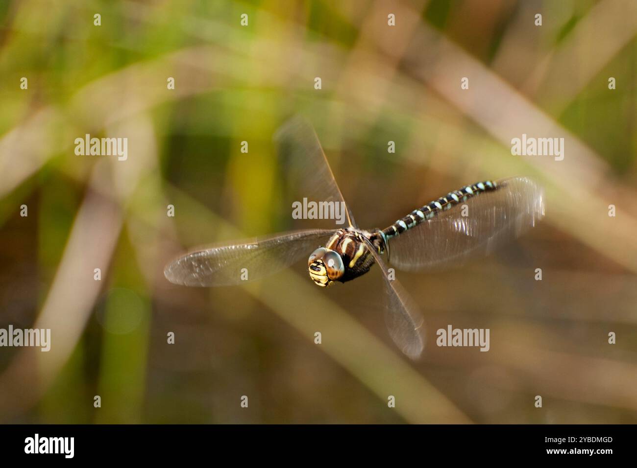 Aerial view flying backwards in hi-res stock photography and images - Alamy