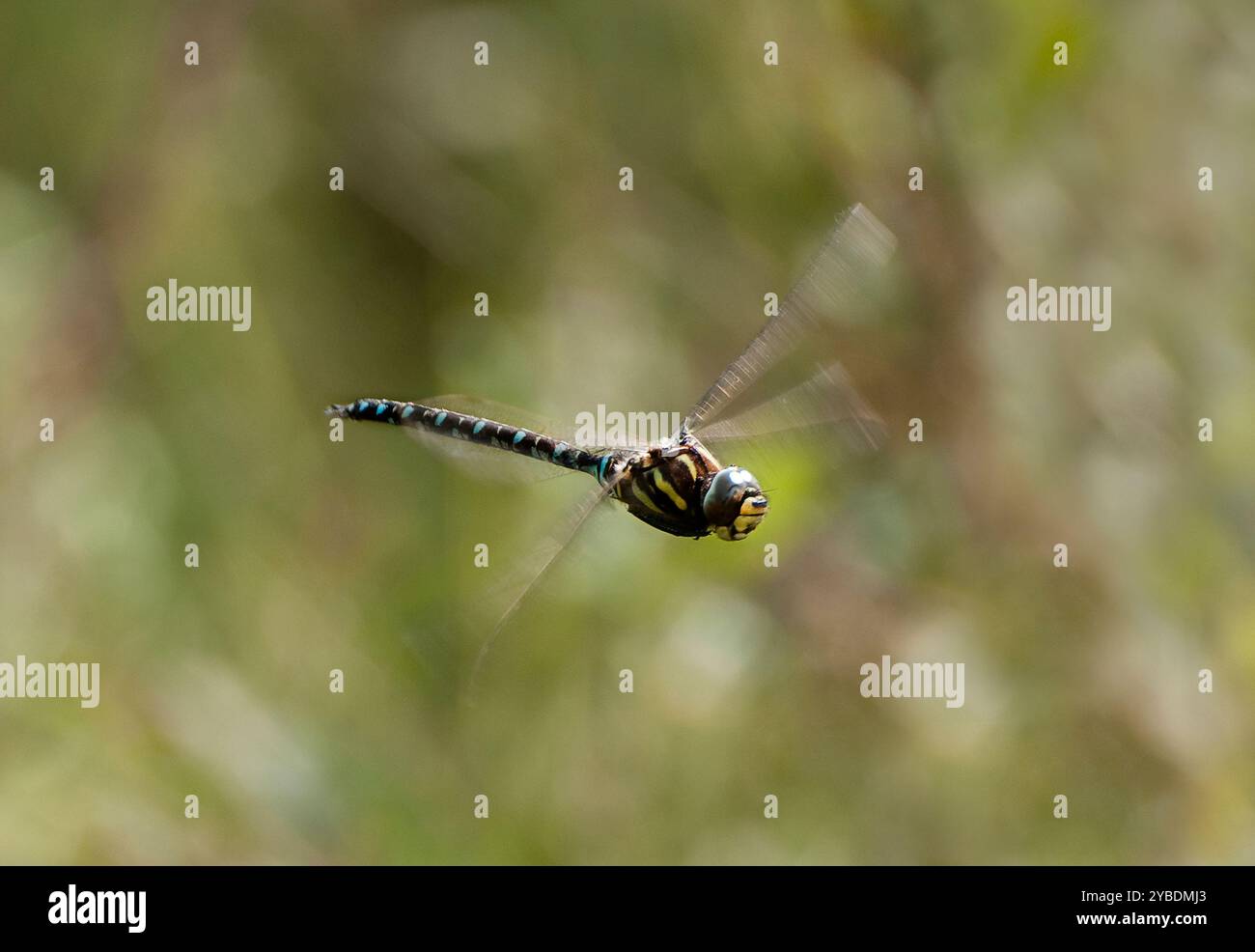 Aerial view flying backwards in hi-res stock photography and images - Alamy