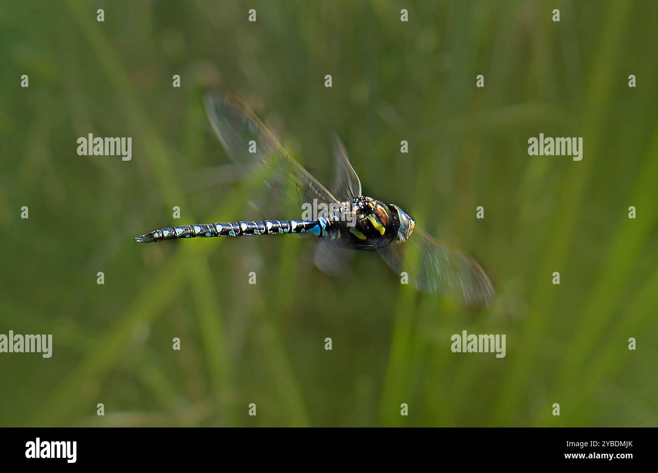 Aerial view flying backwards in hi-res stock photography and images - Alamy