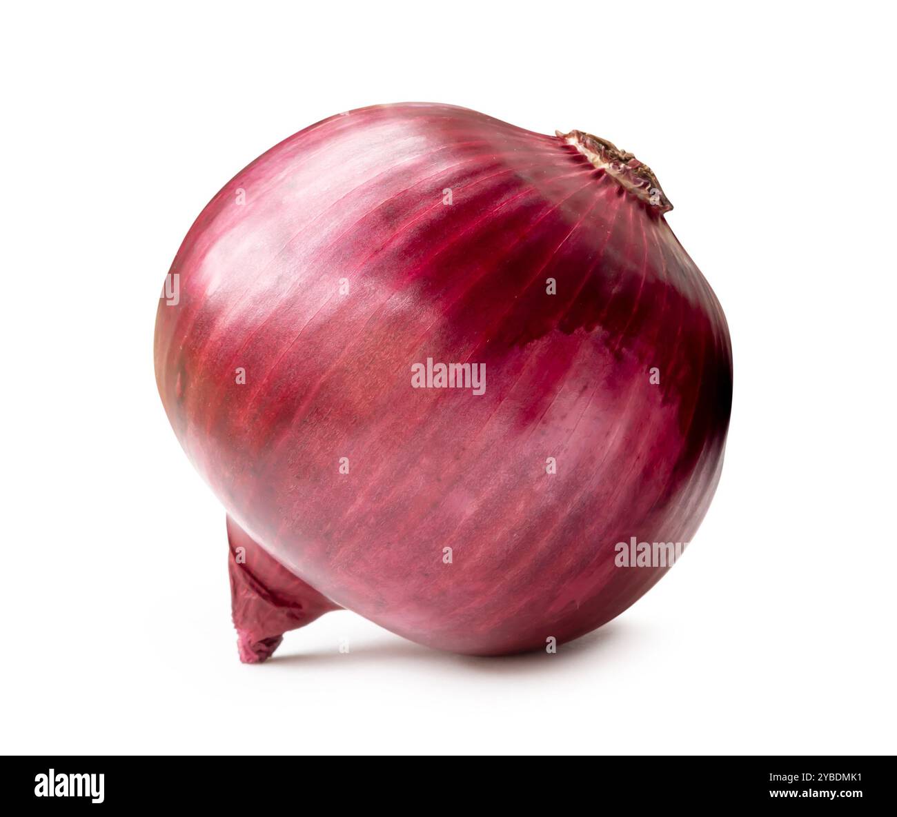 Side view of big red or purple onion bulb is isolated on white ...