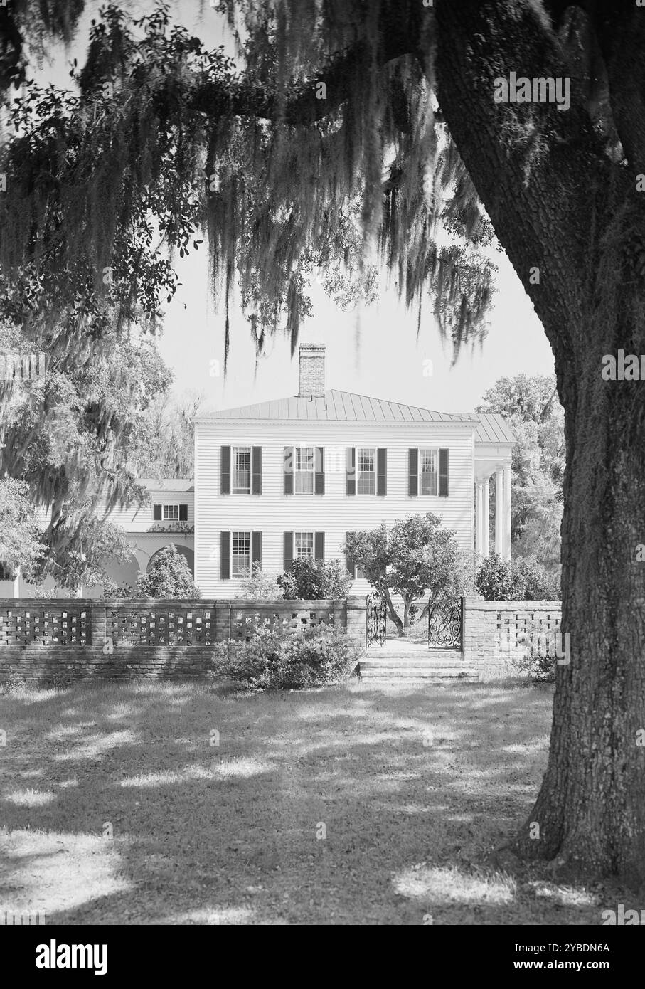 Radcliffe Cheston, Jr., Friendfield Plantation, residence in Georgetown ...