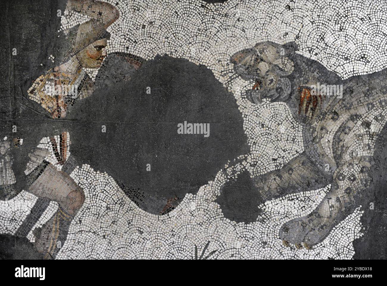 Leopard hunt, detail from mosaic pavement of a peristyle court in the ...