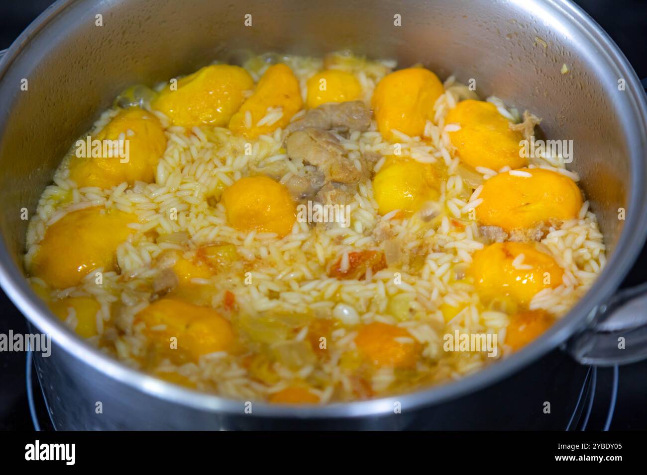 Traditional Brazilian dish chicken with pequi (caryocar brasiliense ...