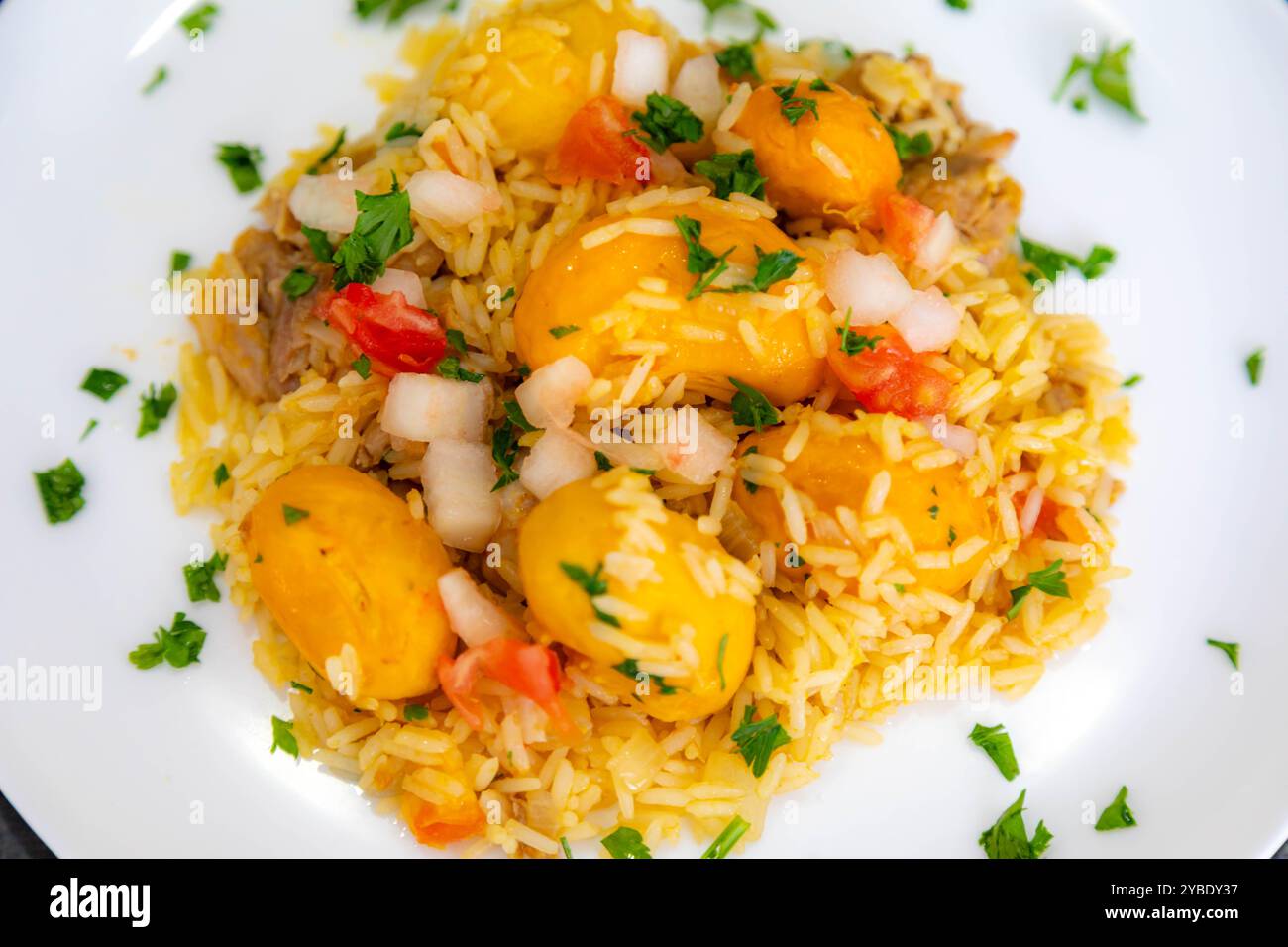 Traditional Brazilian dish chicken with pequi (caryocar brasiliense ...