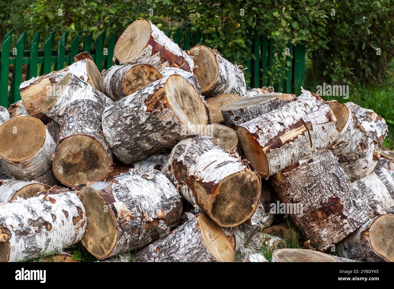 A large and varied pile of logs covered in white spots, showcasing ...