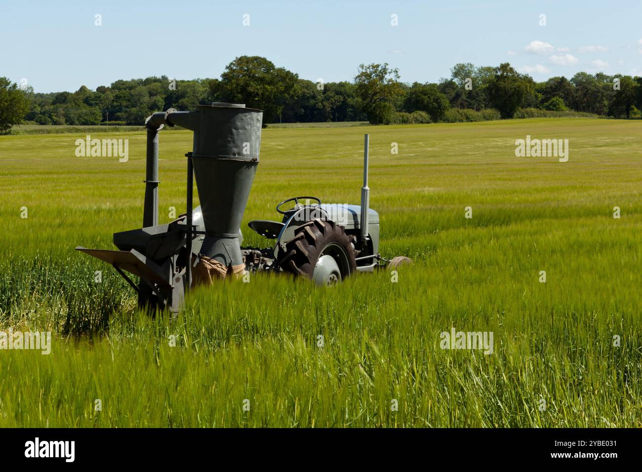 Ferguson TEF tractor with Ferguson Hammer Mill implement attached for ...