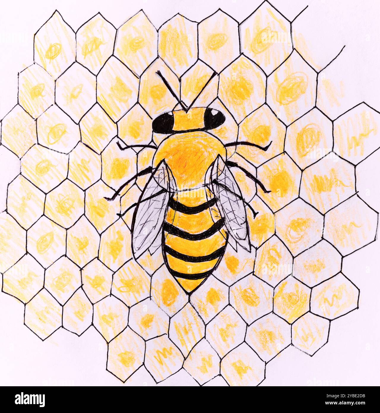 Honey Bee on honeycomb. Child Pencil hand drawing Stock Photo - Alamy