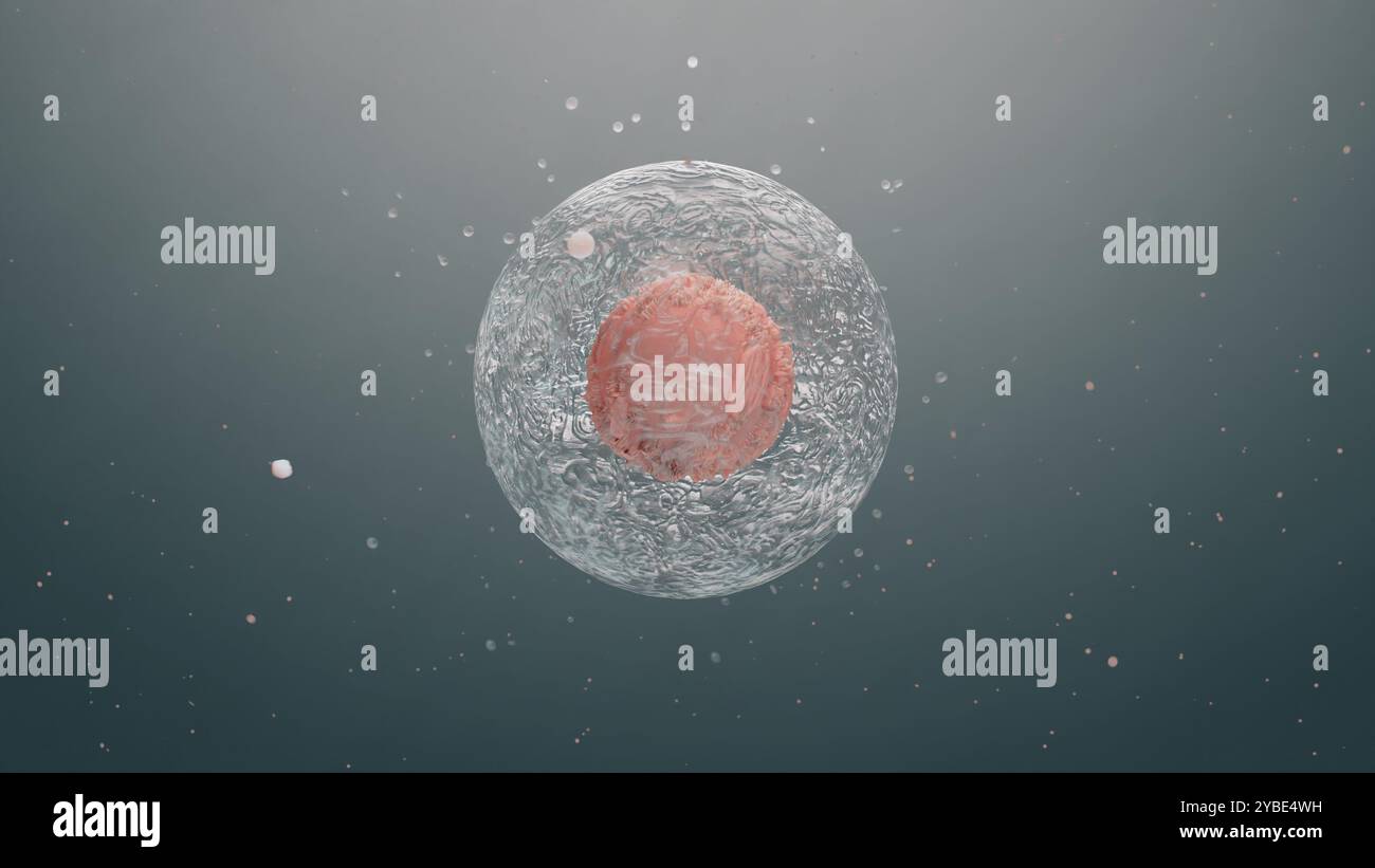 A living cell with a pulsating nucleus, a biological concept. The emergence of a new life ...