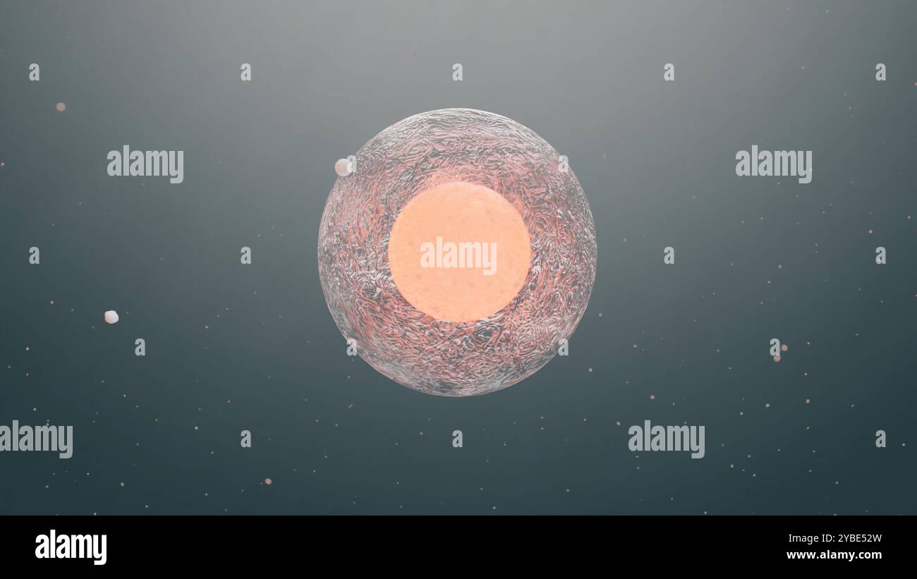 A living cell with a pulsating nucleus, a biological concept. The ...