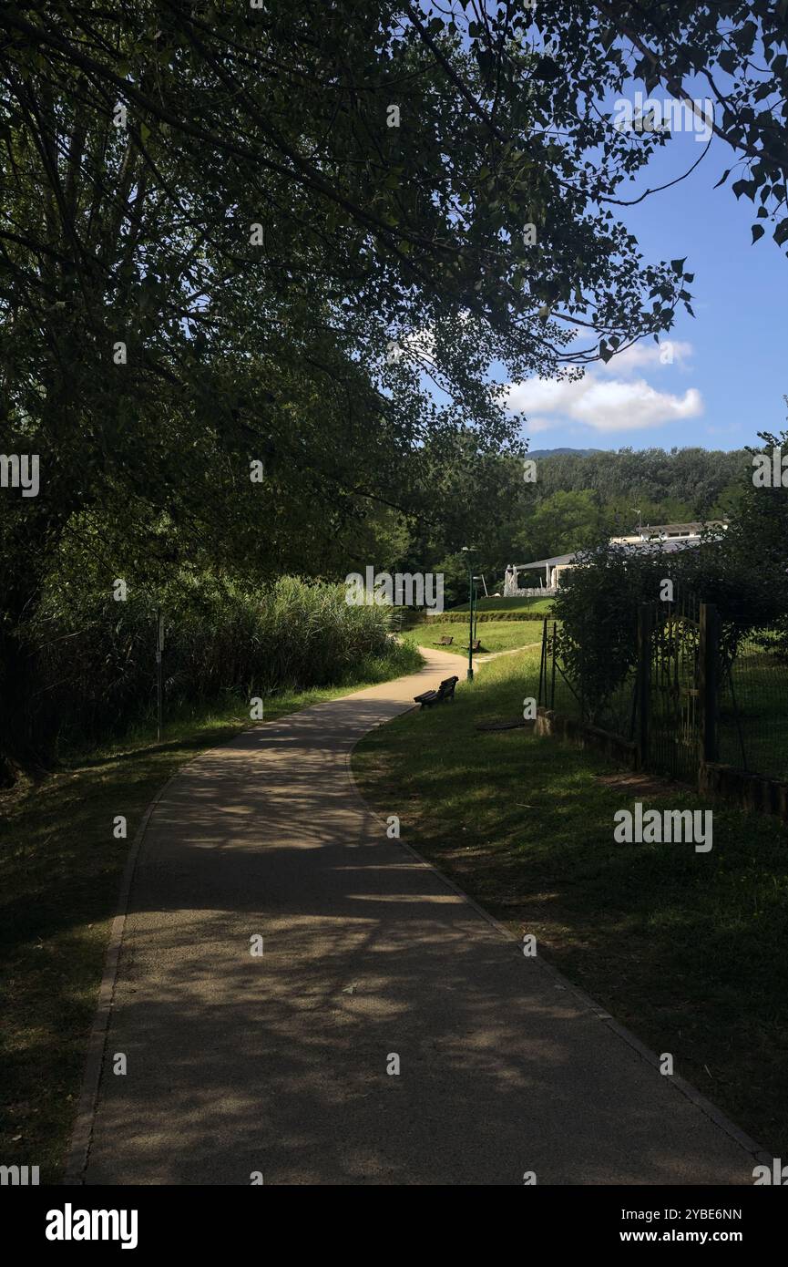 Trail with a tree arching on it in a park by the lakeshore Stock Photo ...