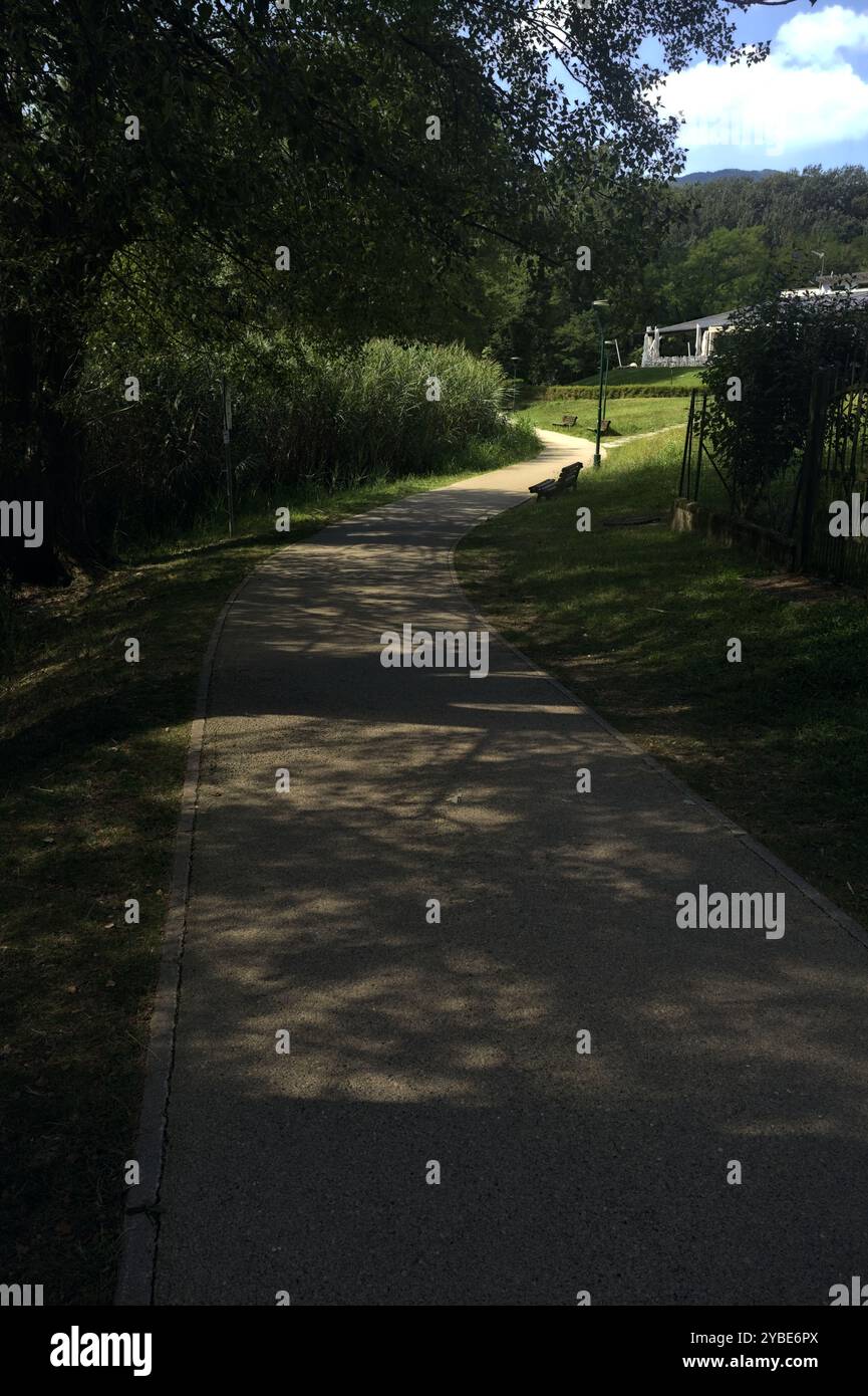 Trail with a tree arching on it in a park by the lakeshore Stock Photo ...