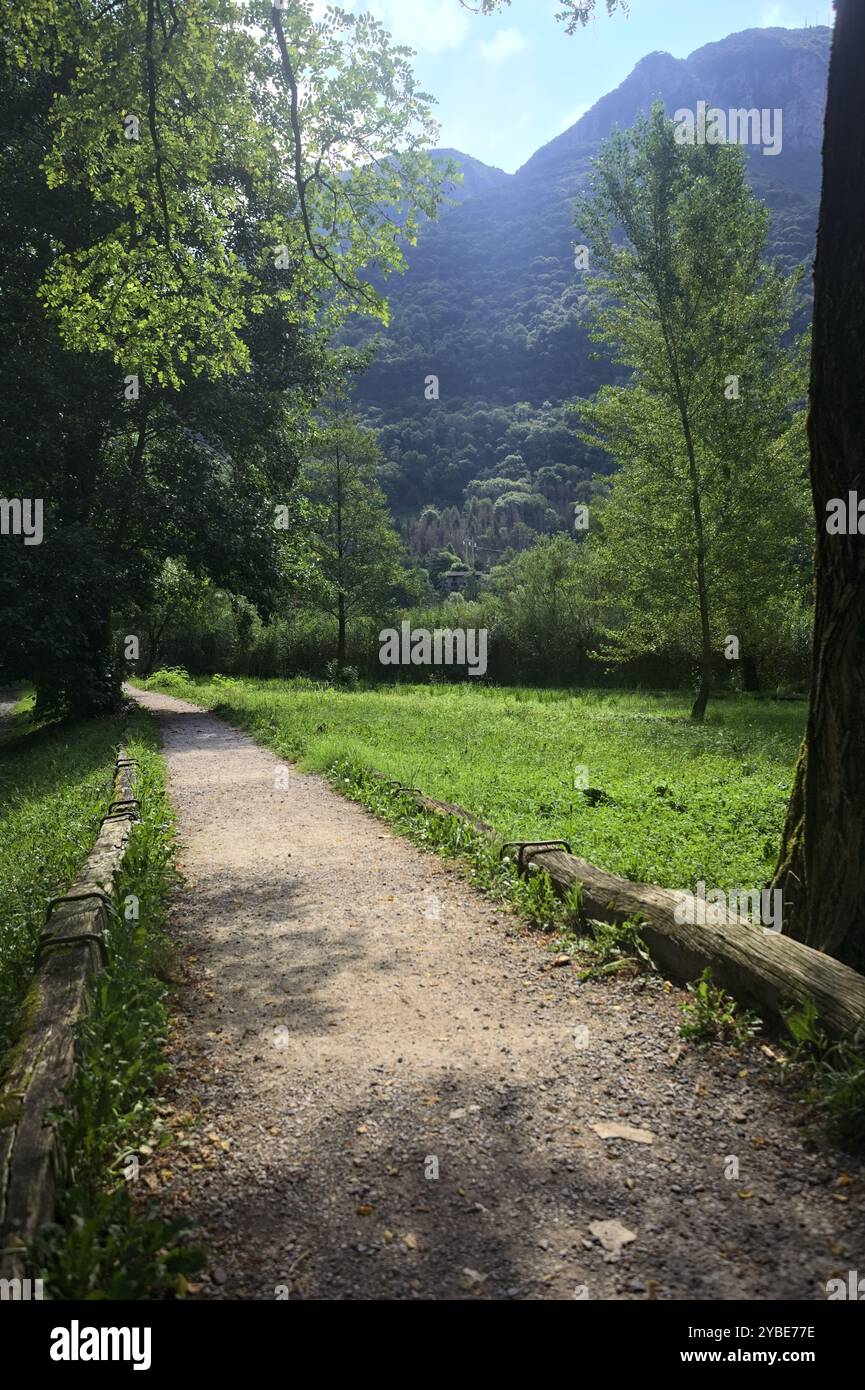 Path in a park by the lakeshore with the opposite shore framed by trees ...
