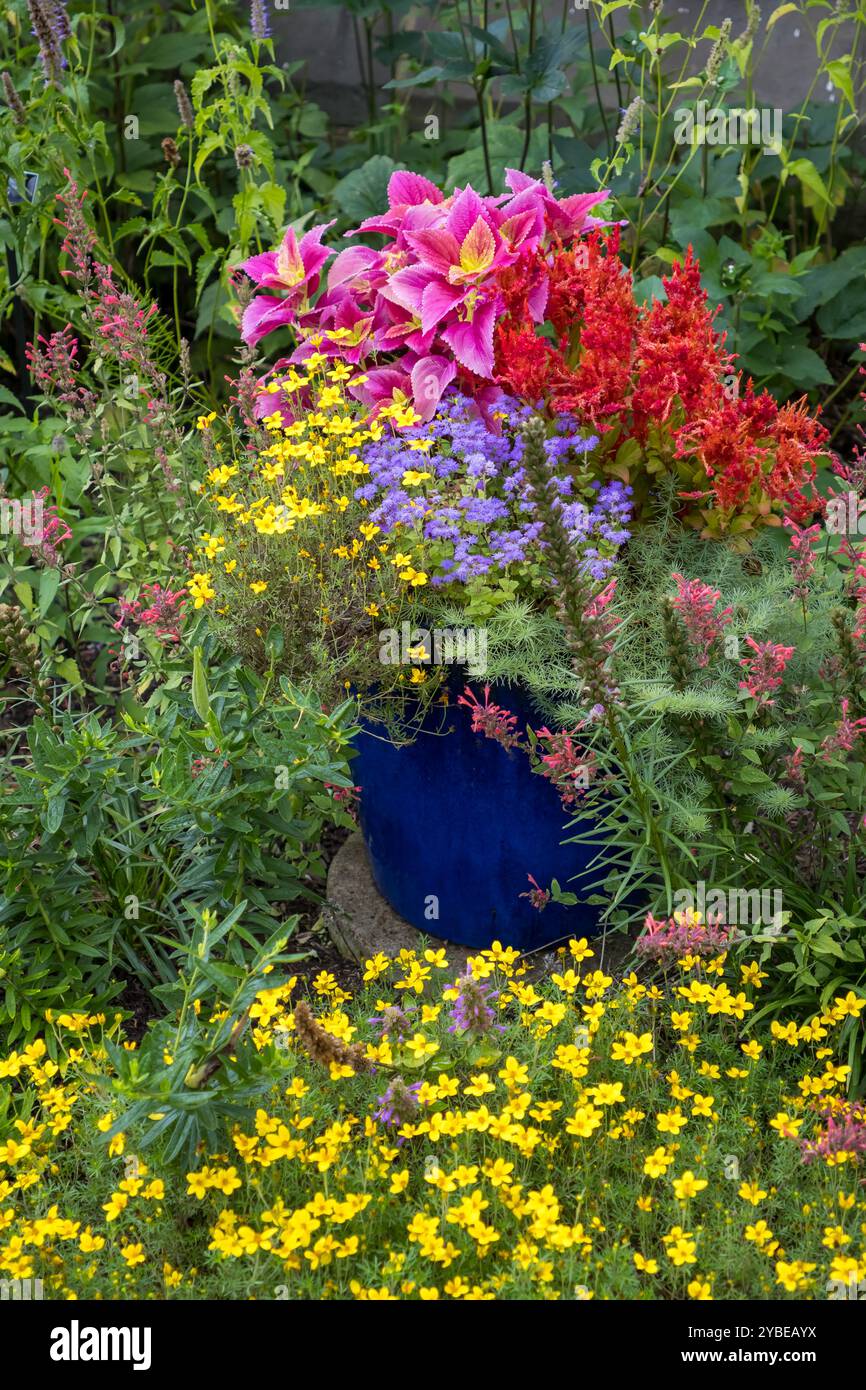 Colorful flower pot at Phipps Conservatory and Botanical Gardens in ...