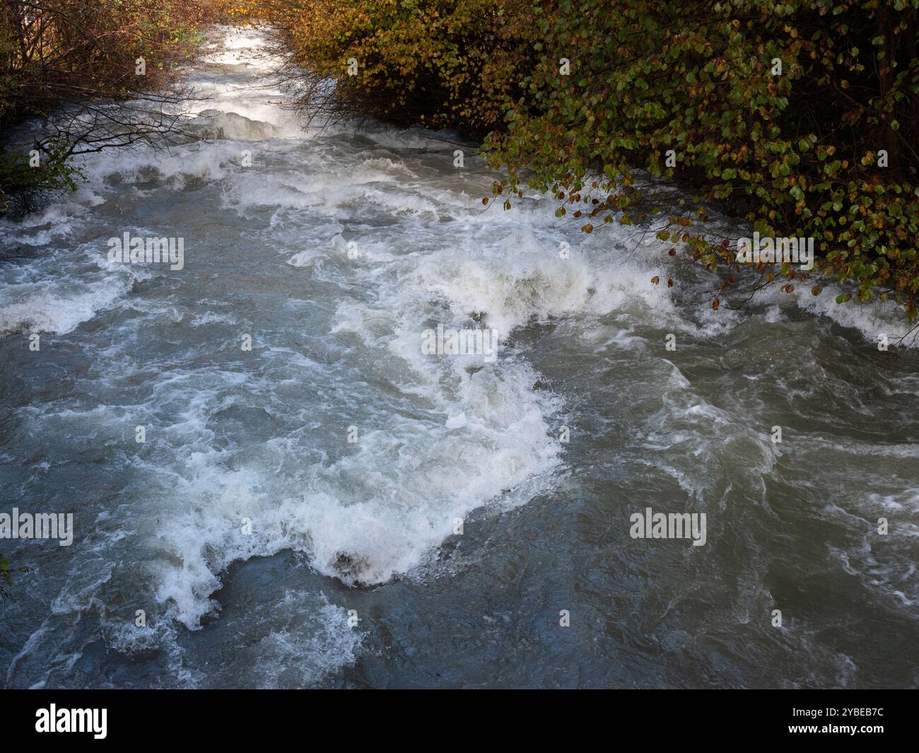 Mountain river, in the Maritime Alps, in flood after days of continuous ...