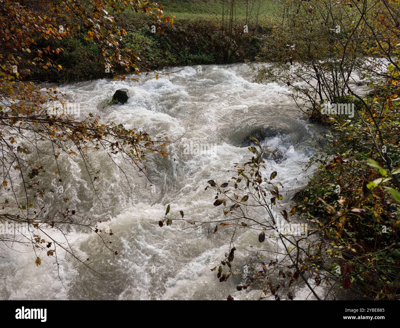 Mountain river, in the Maritime Alps, in flood after days of continuous ...