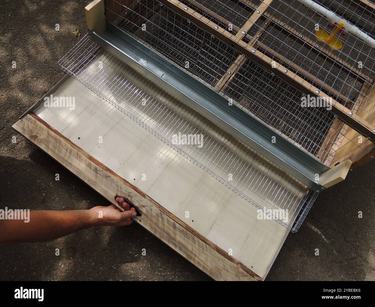 male hand pulls out metal tray with wooden handle in structure of cage ...