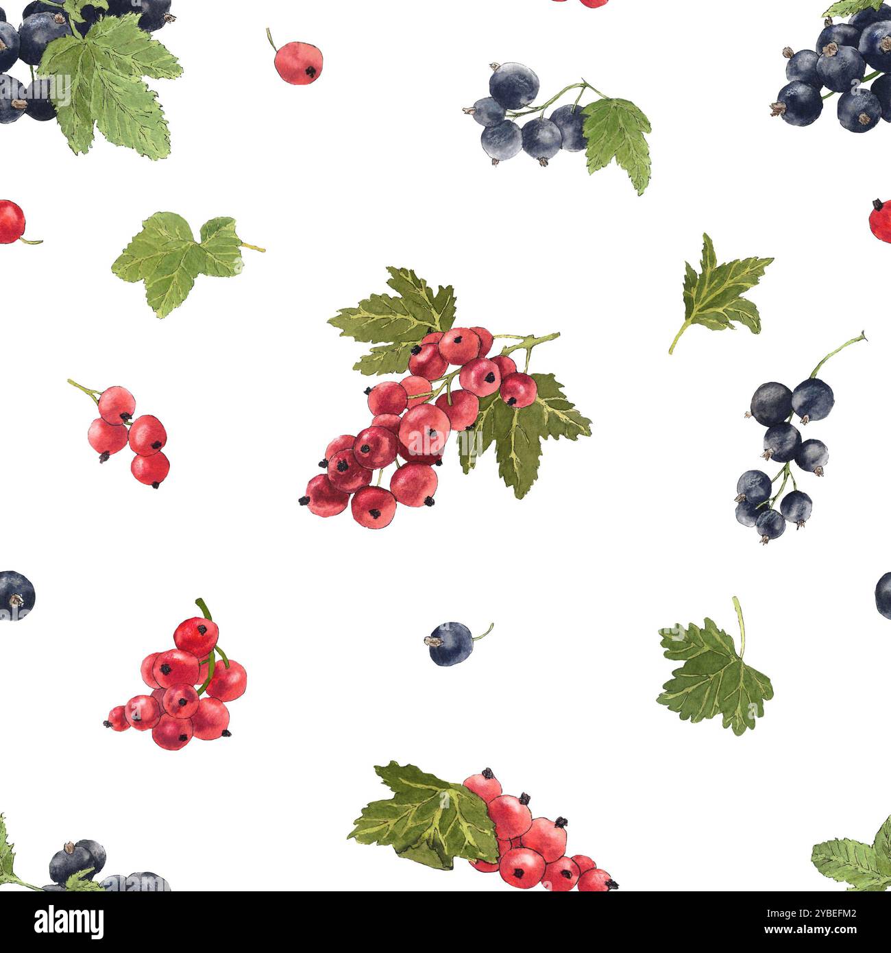 Seamless watercolor pattern of delicious black and red currant and ...
