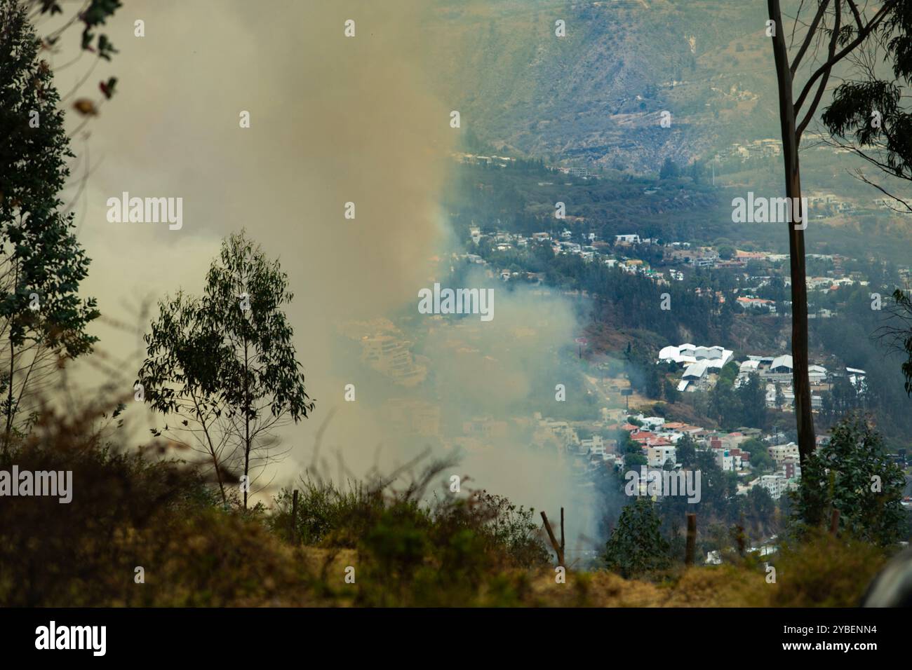 Fireforests, Quito - Ecuador / September 2024 Stock Photo - Alamy