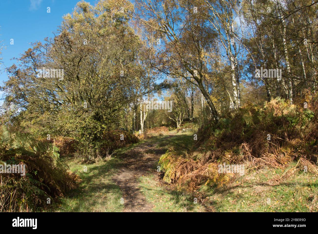 Birchen and Gardoms Edge. North Derbyshire UK Stock Photo - Alamy