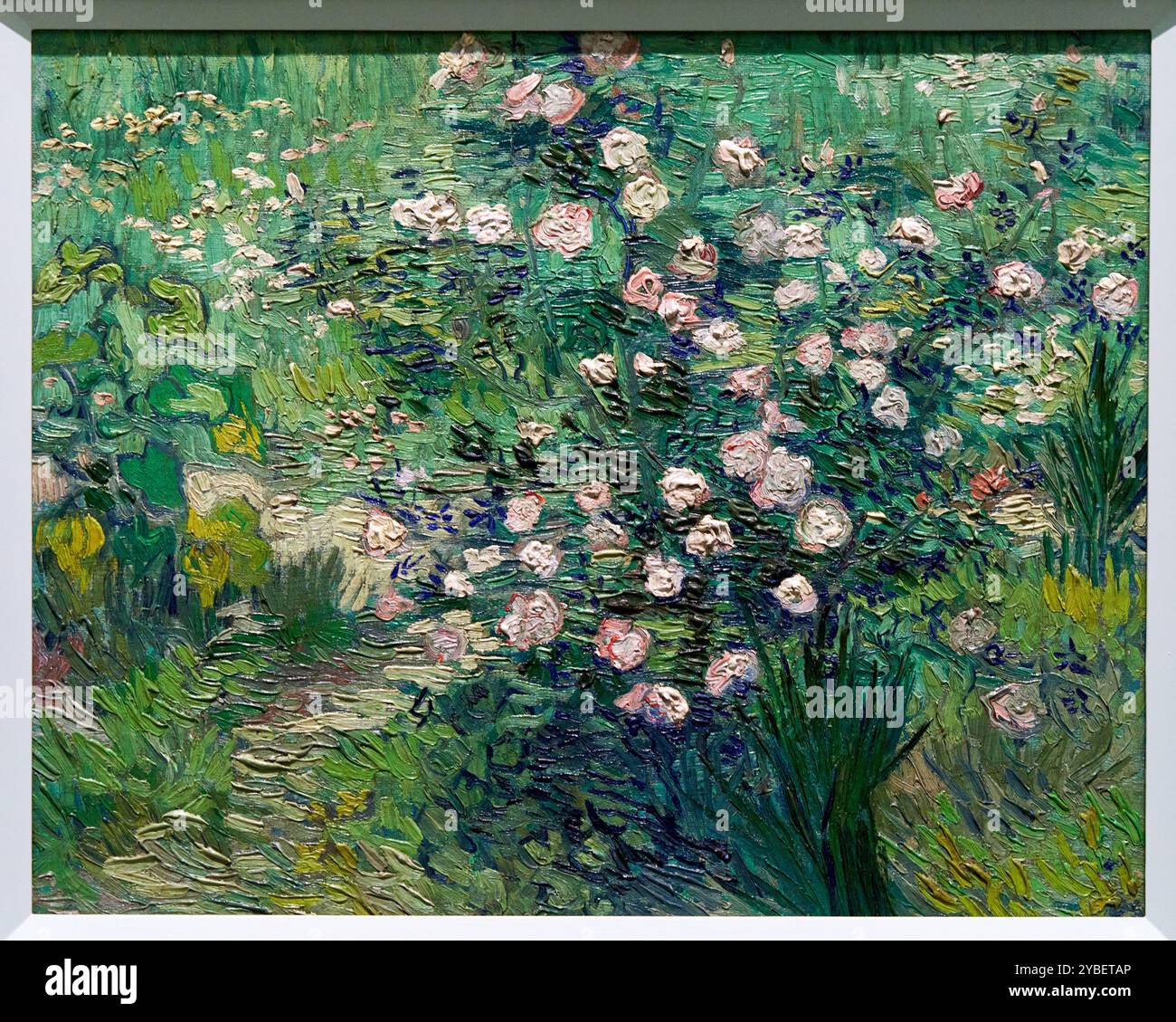 Roses, 1889, Vincent Van Gogh (1853-1890), Poets & Lovers Exhibition ...