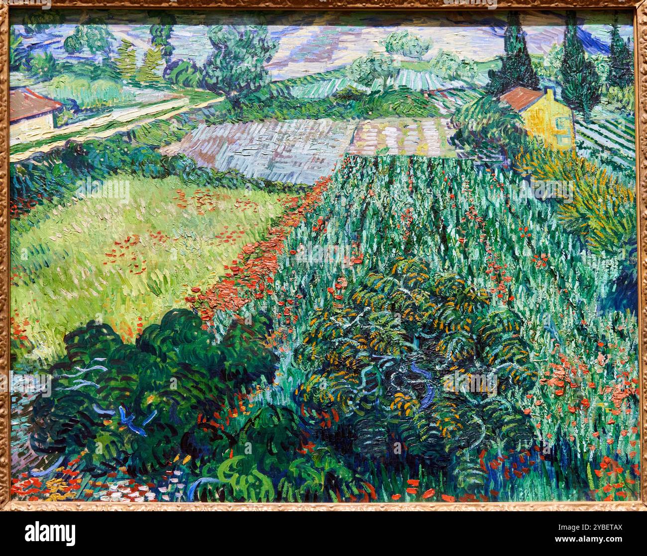 Field with Poppies, 1889, Vincent Van Gogh (1853-1890), Poets & Lovers ...