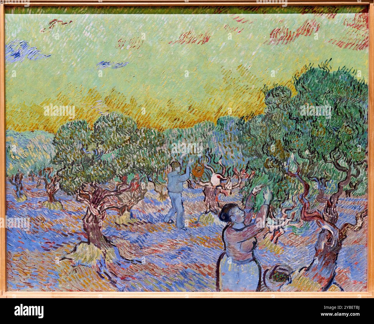 Olive Grove with Two Olive Pickers, 1889, Vincent Van Gogh (1853-1890 ...