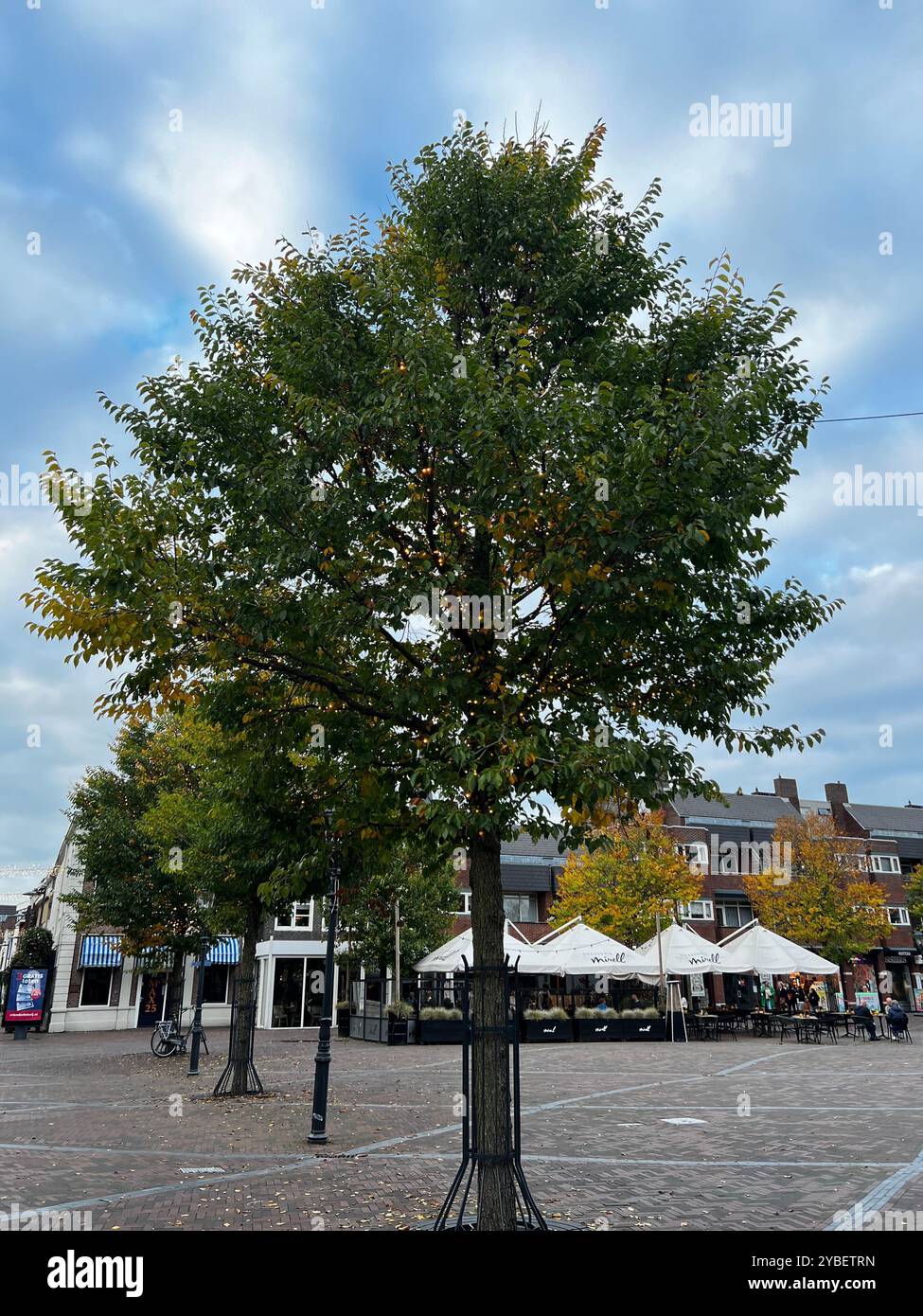 Nature is the most beautiful thing in the world Stock Photo - Alamy