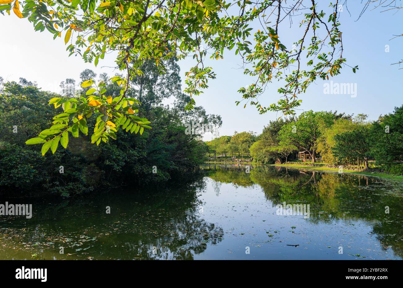 Sunny view of the landscape of Daan Forest Park at Taipei, Taiwan Stock ...