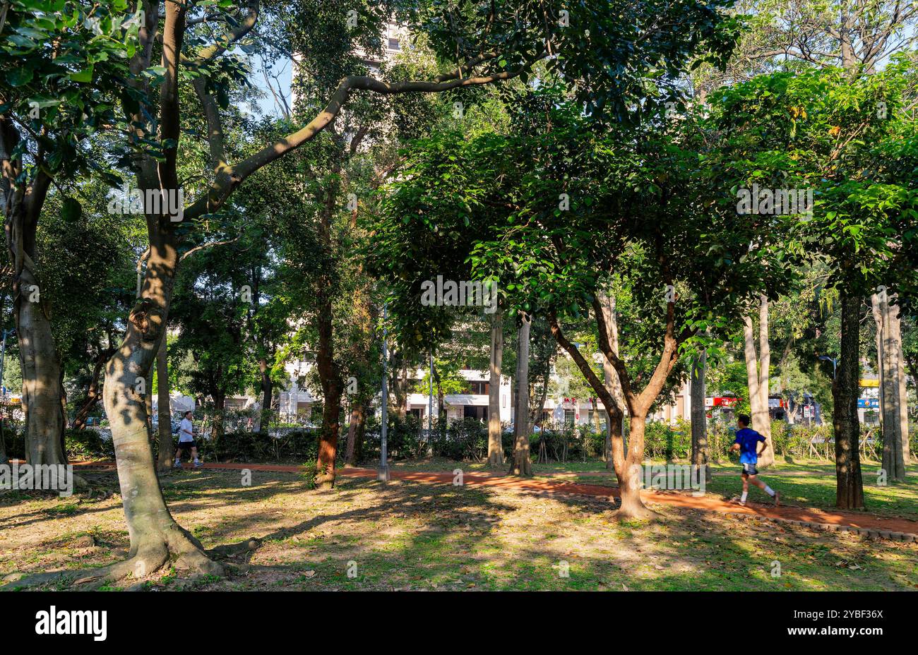 Sunny view of the landscape of Daan Forest Park at Taipei, Taiwan Stock ...