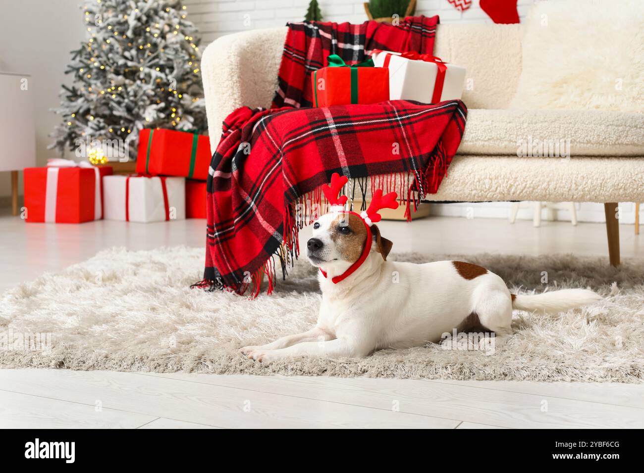 Dog wearing reindeer horns hi-res stock photography and images - Alamy