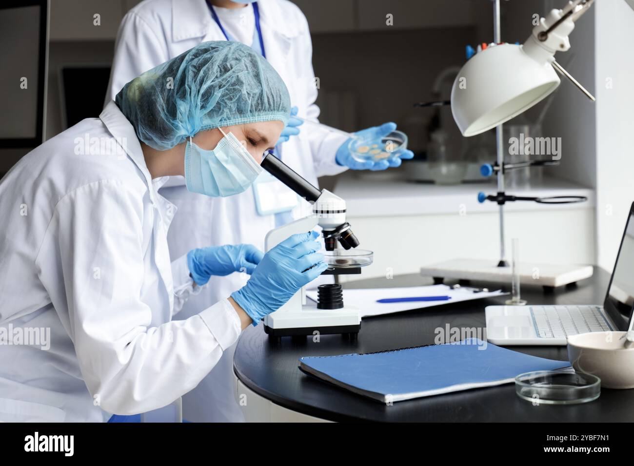 Female scientists working with microscope and Petri dishes in ...