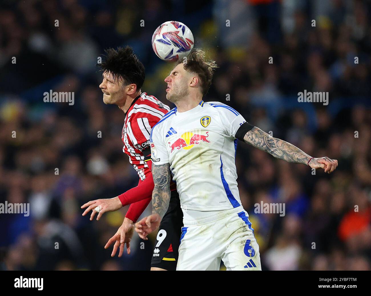 Joe rodon leeds united 2024 hi-res stock photography and images - Alamy