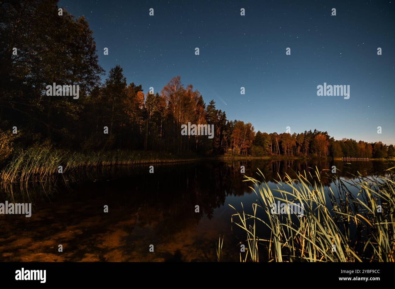 Comet C 2023 A3 Tsuchinshan–ATLAS over the forest lake in Latvia on ...