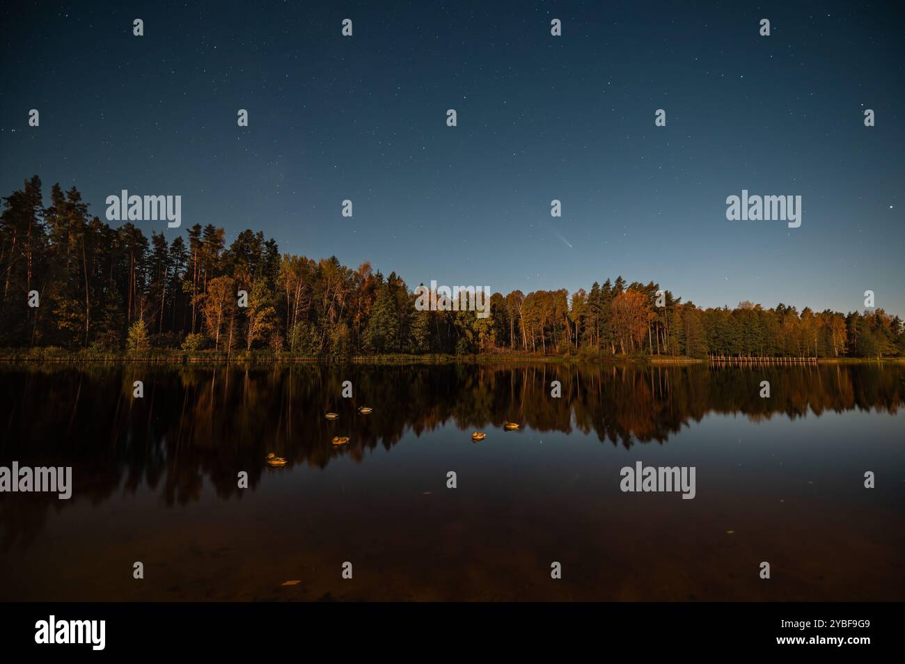 Comet C 2023 A3 Tsuchinshan–ATLAS over the forest lake in Latvia on ...