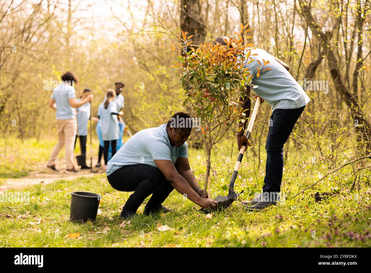 Volunteers group doing community service to plant more trees, covering ...