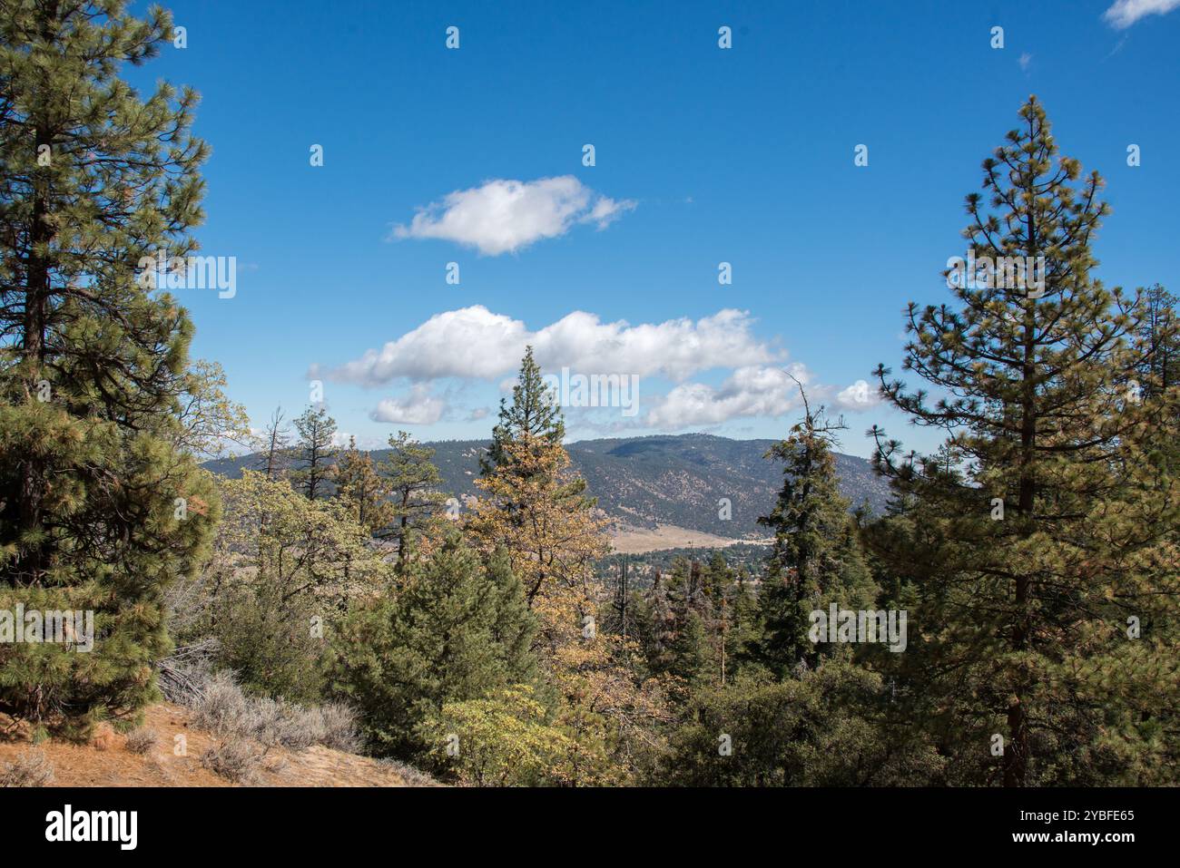Mt pinos california hi-res stock photography and images - Alamy