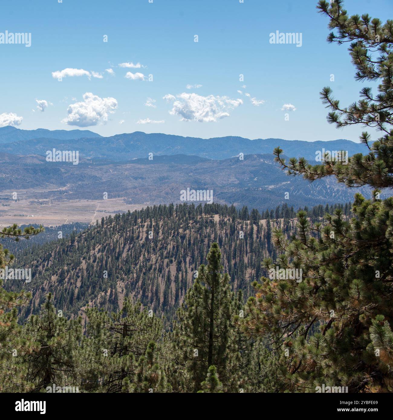 Mount Pinos California and surrounding area Stock Photo - Alamy