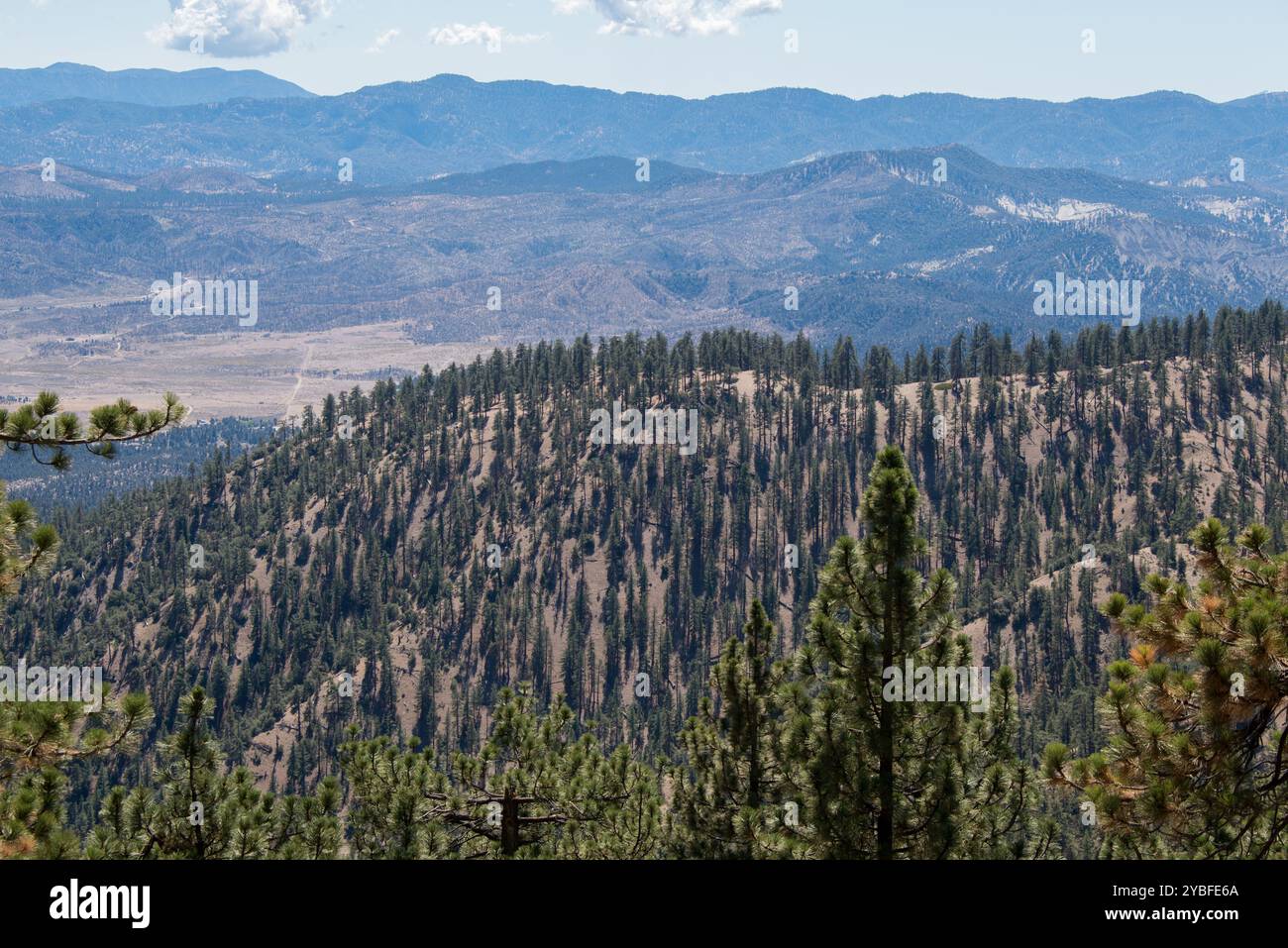 Mt pinos california hi-res stock photography and images - Alamy