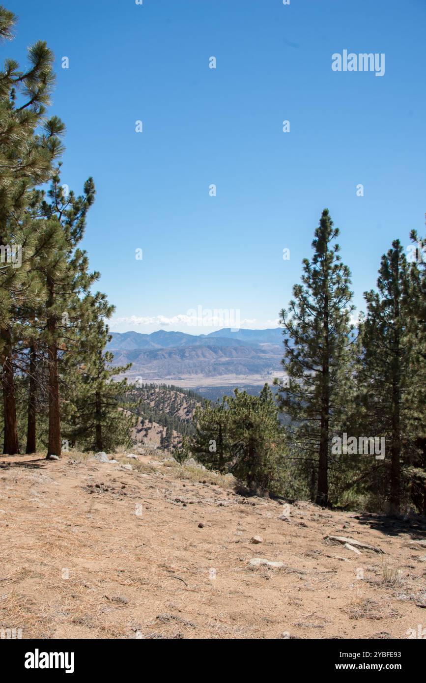 Mount Pinos California and surrounding area Stock Photo - Alamy