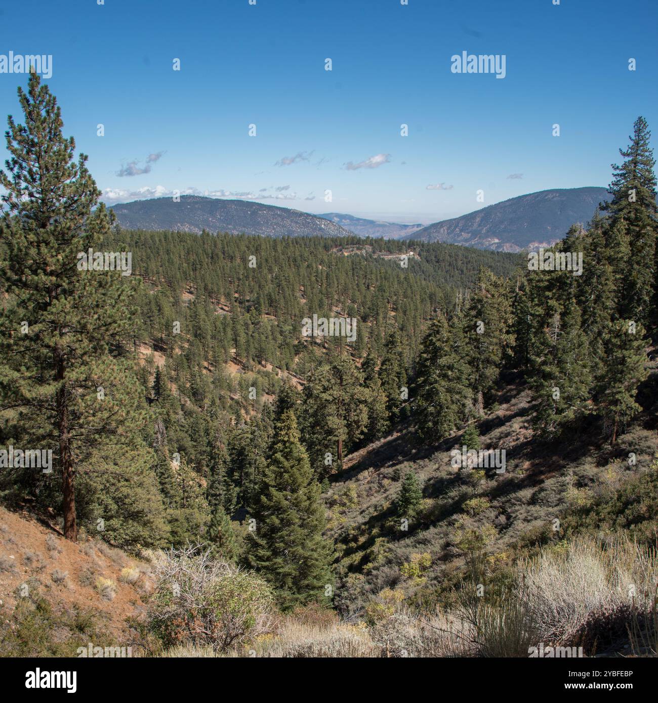 Mt pinos california hi-res stock photography and images - Alamy