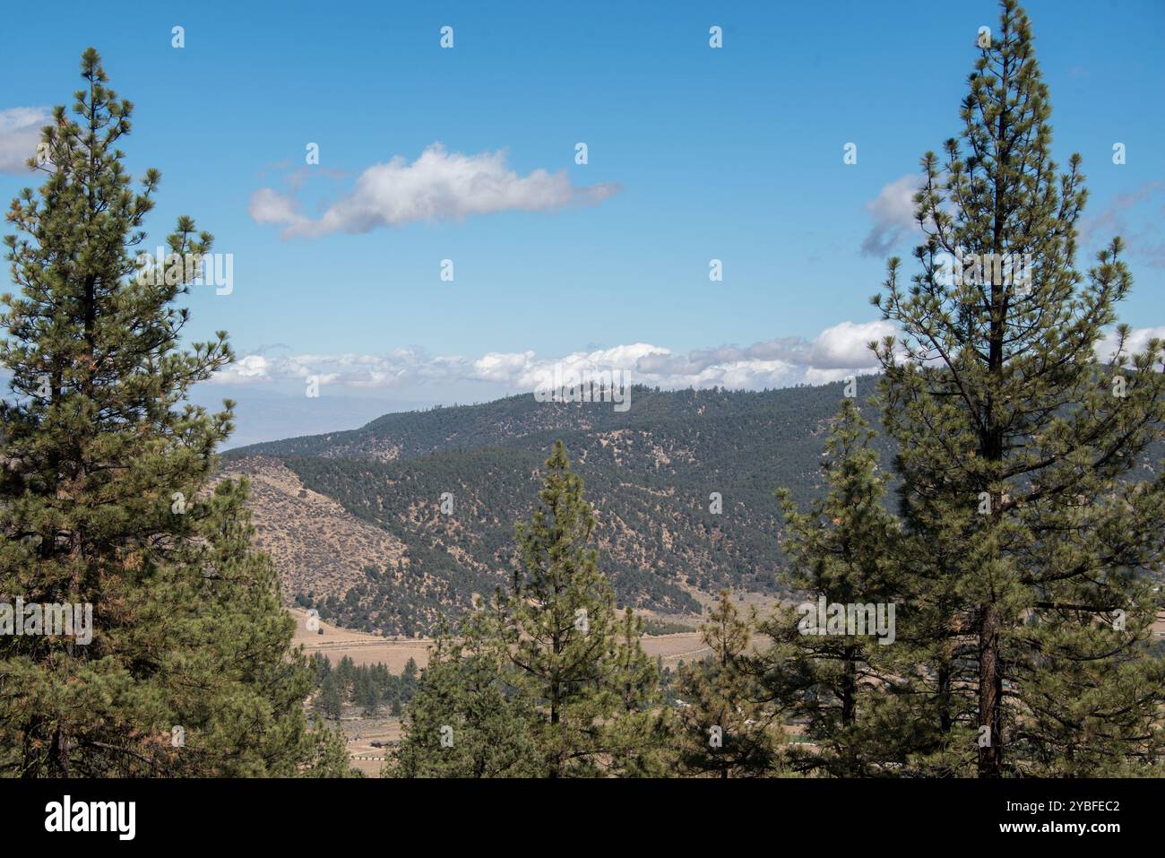 Mount Pinos California and surrounding area Stock Photo - Alamy