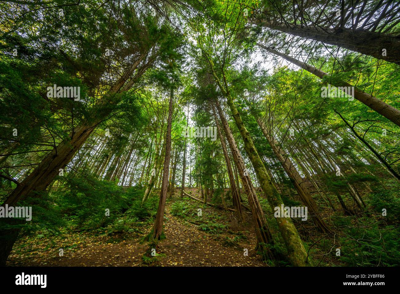 Tourist united view hermitage hi-res stock photography and images - Alamy