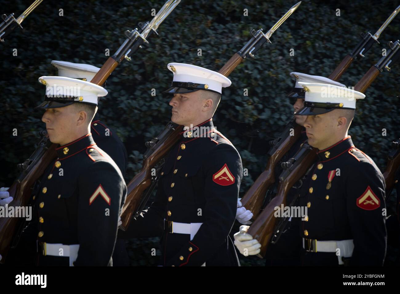 Commandants own marine corps hi-res stock photography and images - Alamy
